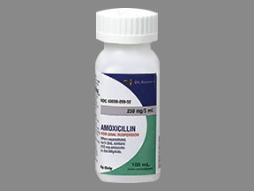 AMOXICILLIN ORAL SUSPENSION SUSP 250MG/5ML 100ML | Real Value Rx