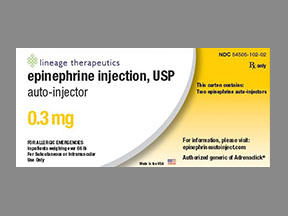 EPINEPHRINE AUTO-INJECTOR 0 0.3MG 2 PACK | Real Value Rx
