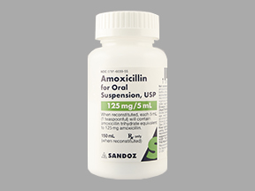 AMOXICILLIN ORAL SUSPENSION SUSP 125MG/5ML 150ML | Real Value Rx