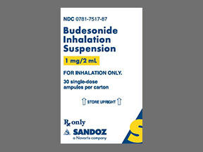 BUDESONIDE INHALATION SUSPENSION AMP 1MG/2ML 30 | Real Value Rx